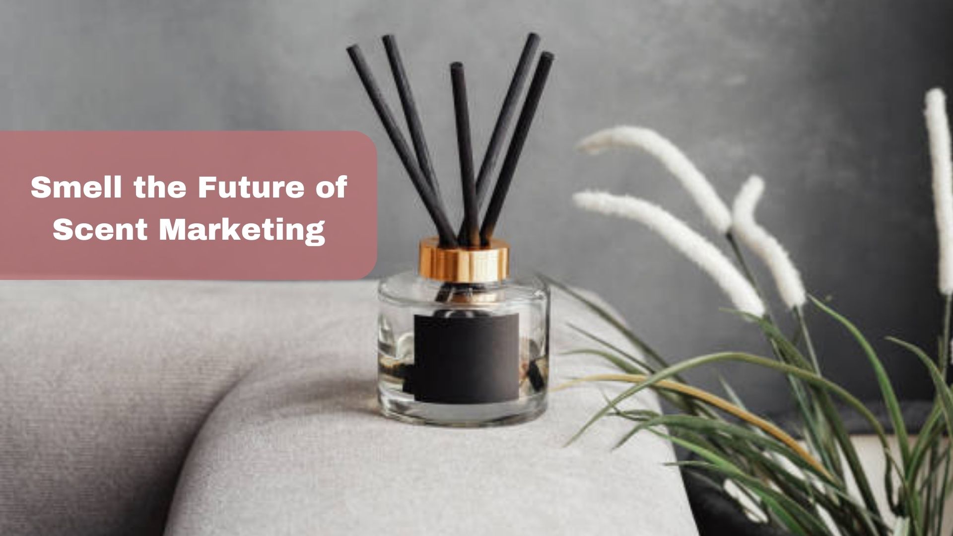 Smell the Future of Scent Marketing | Atmocare