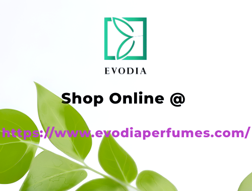 Leading Scent Marketing Company Dubai | Fragrance Diffuser Dubai | Atmocare